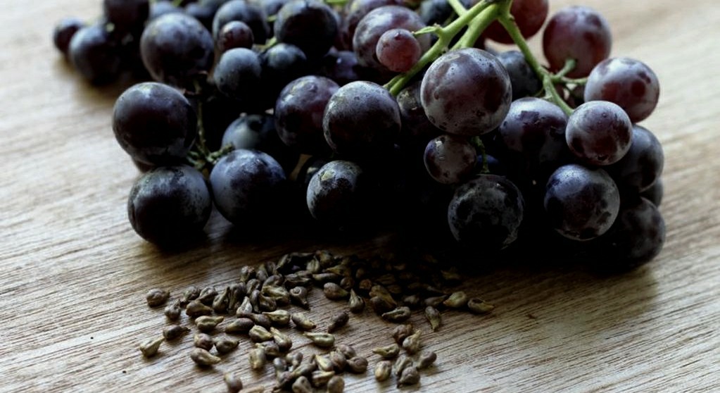 SEMENTES DE UVA ROXA - JARDIM ANIMAL